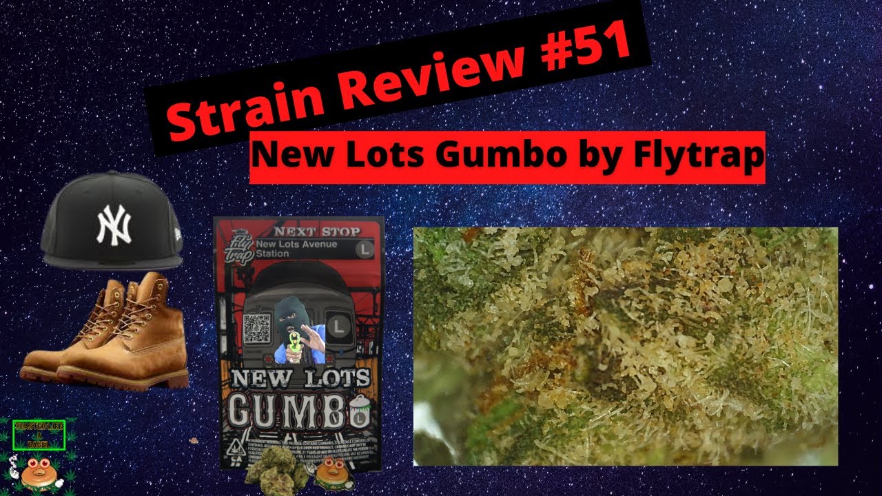 Strain Review #51: New Lots Gumbo by Flytrap - YouTube