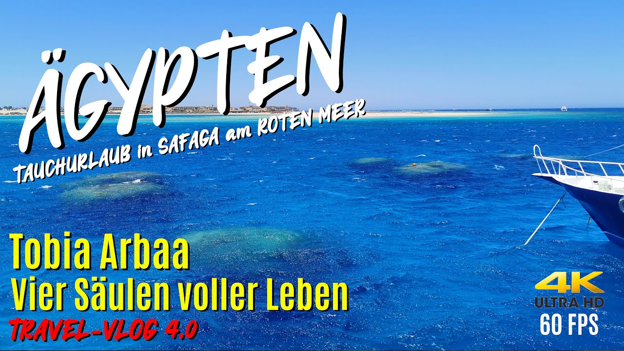 Tauchen in ÄGYPTEN - Tobia Arbaa "Vier Säulen voller Leben" 4K/60FPS 🐟 ...