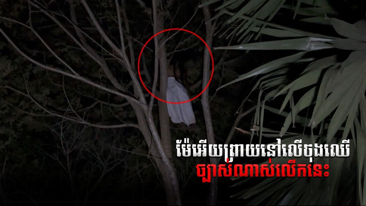 ម៉ែអើយព្រាយនៅលើចុងឈើ ច្បាស់ណាស់លើកនេះខ្ងុំ | Real Video Ghost Pray ...