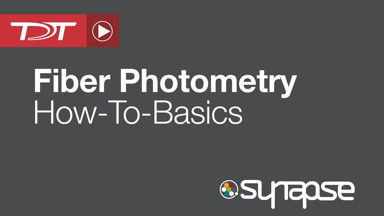 Fiber Photometry - RZ5P Processor - TDT - YouTube
