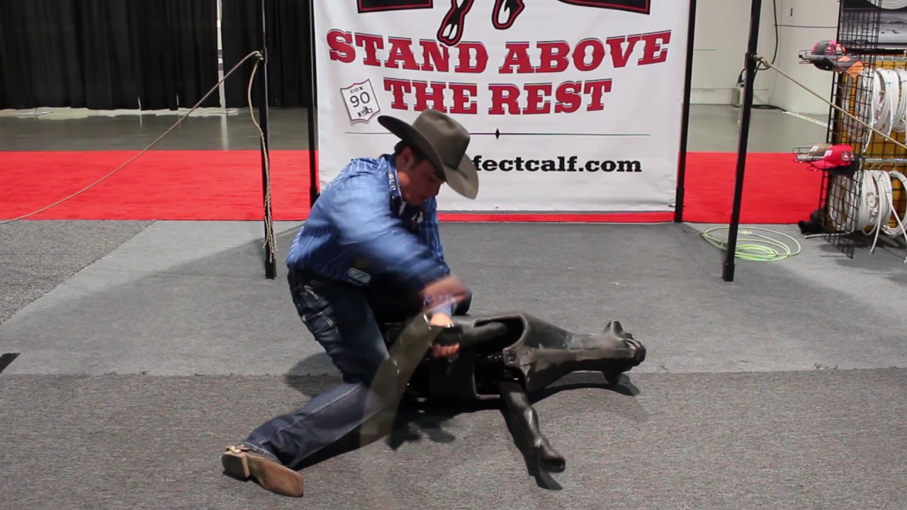 The Perfect Calf - Blane Cox - WNFR 2016 - YouTube