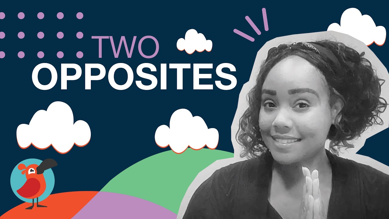 Two Opposites - YouTube