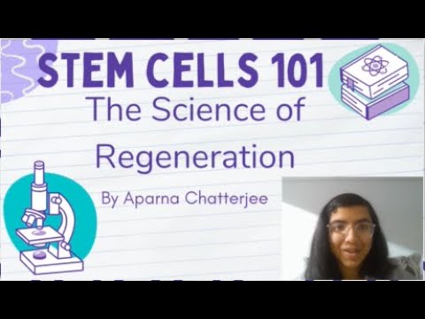 Stem cells 101: The Science of Regeneration - YouTube