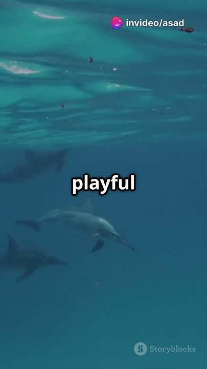 Dive into the Ocean's Wonders! #shorts #viralshorts #ytshorts #underwateradventure - YouTube