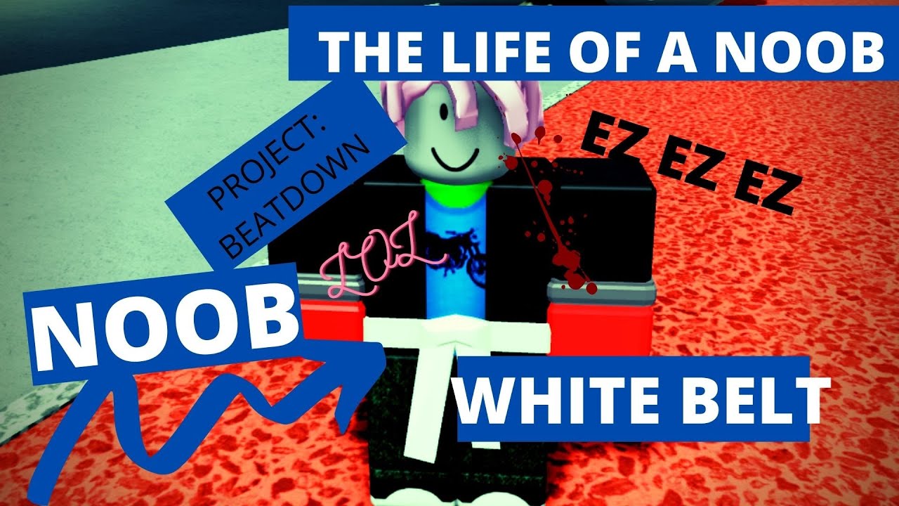 THE LIFE OF A NOOB IN PROJECT: BEATDOWN - YouTube