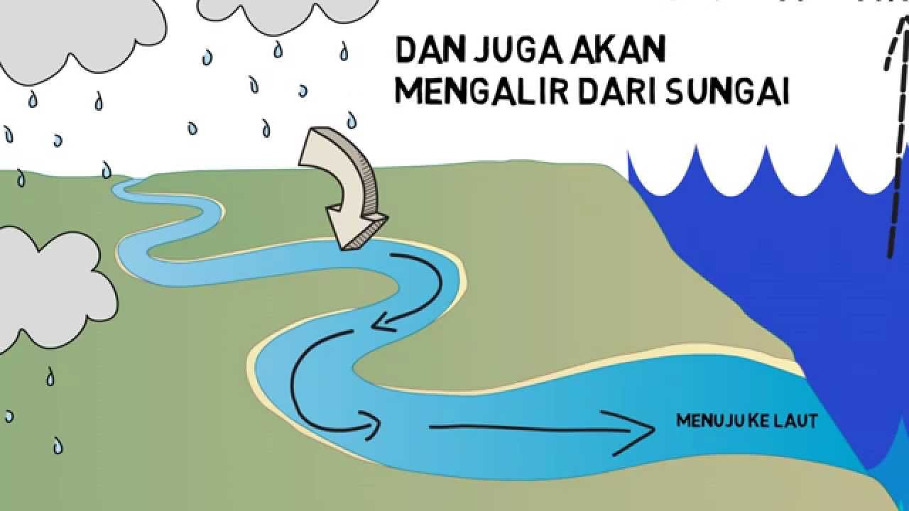 Siklus Hidrologi (Water Cycle) - YouTube