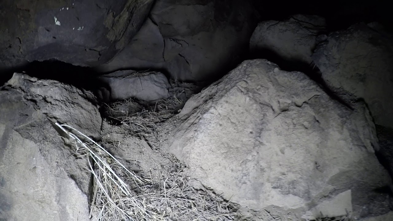 Ariel's Cave, video 2, part 5, 1520p60 - YouTube