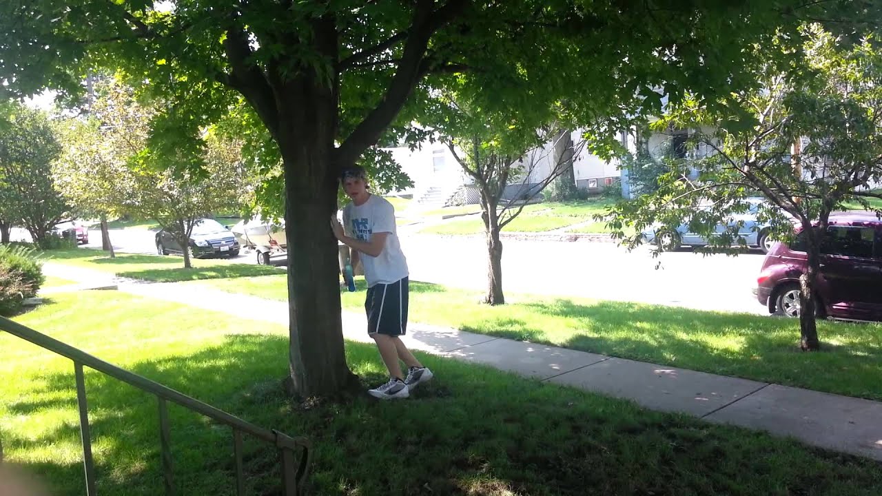 Dawn saves trees - YouTube