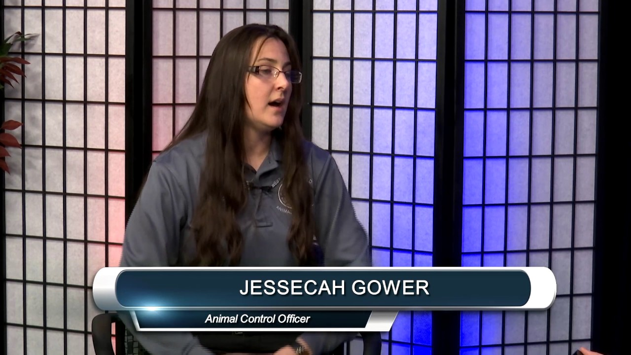 The M.O.B. Report - Jessecah Gower - YouTube