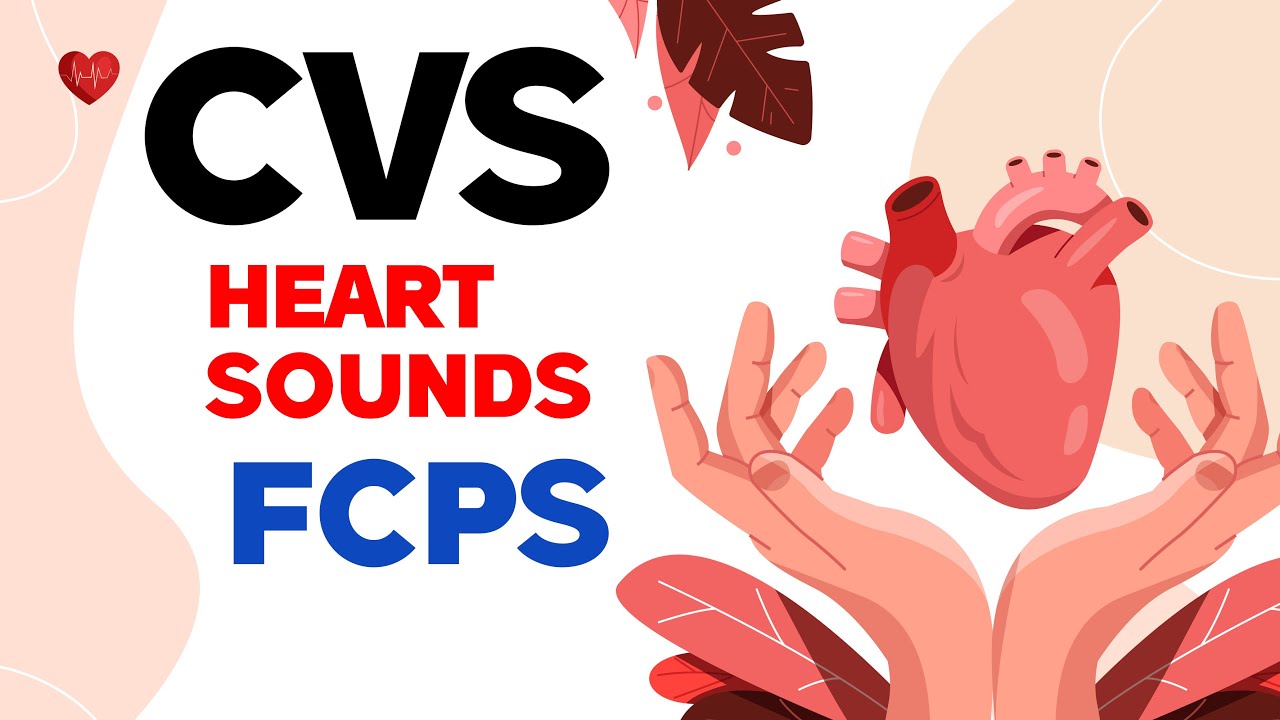 Lecture 2 | Rafiullah | CVS | Heart Sounds | FCPS-1 | Urdu - YouTube