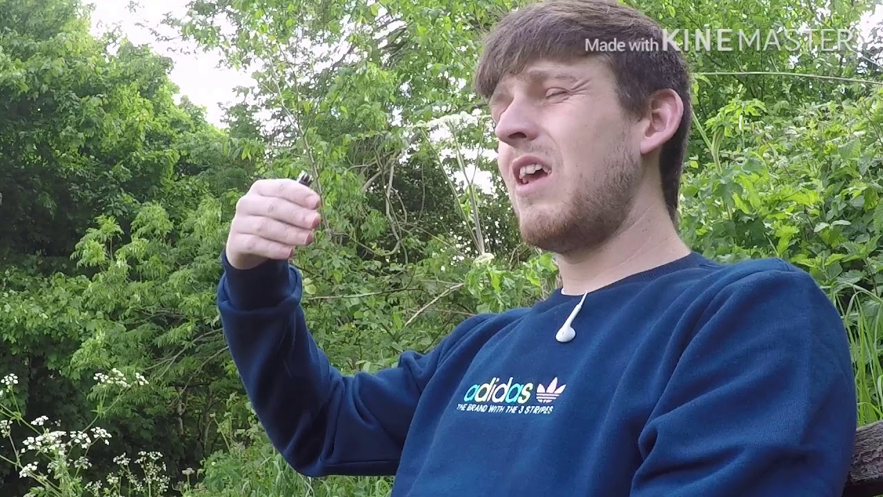 Words With An Inverted Snob!!!! - YouTube