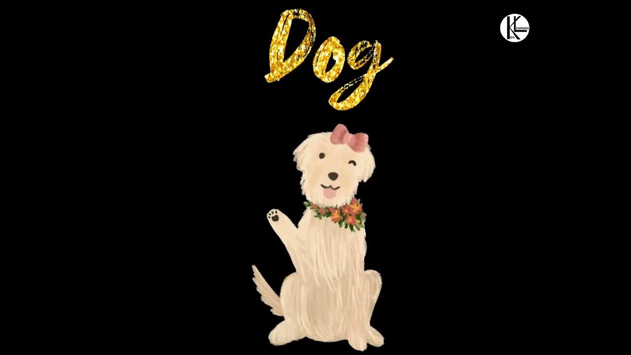 Information About Dog Short Sentences About Dog For Kids Pet information-about-dog-short-sentences-about-dog-for-kids-pet