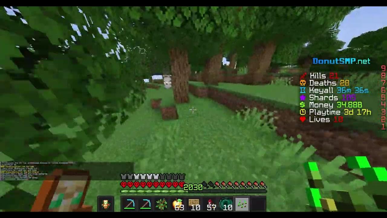 minecraft donut smp 5b giveaway put your user in the comments to win ...