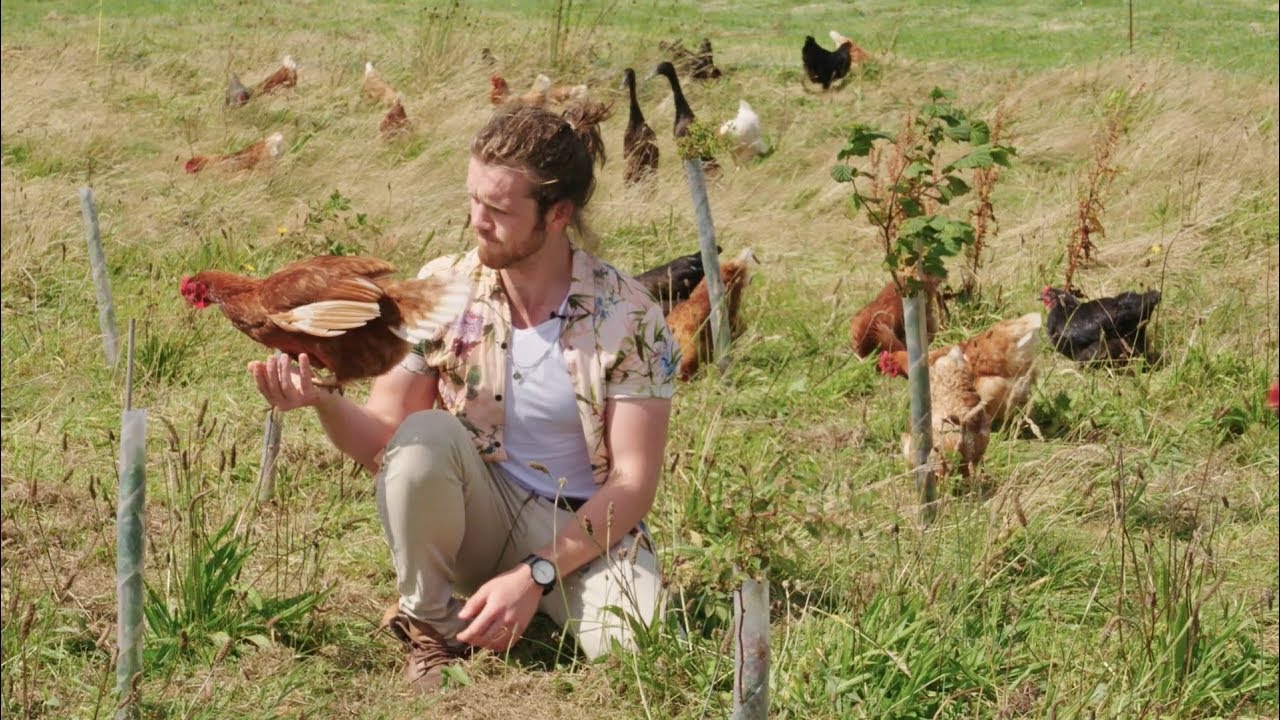 Conor and his Birds - YouTube