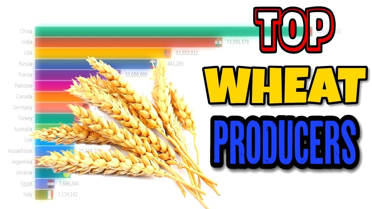 Top Wheat Producers In the World (1960-2020) | Largest Wheat Producing ...