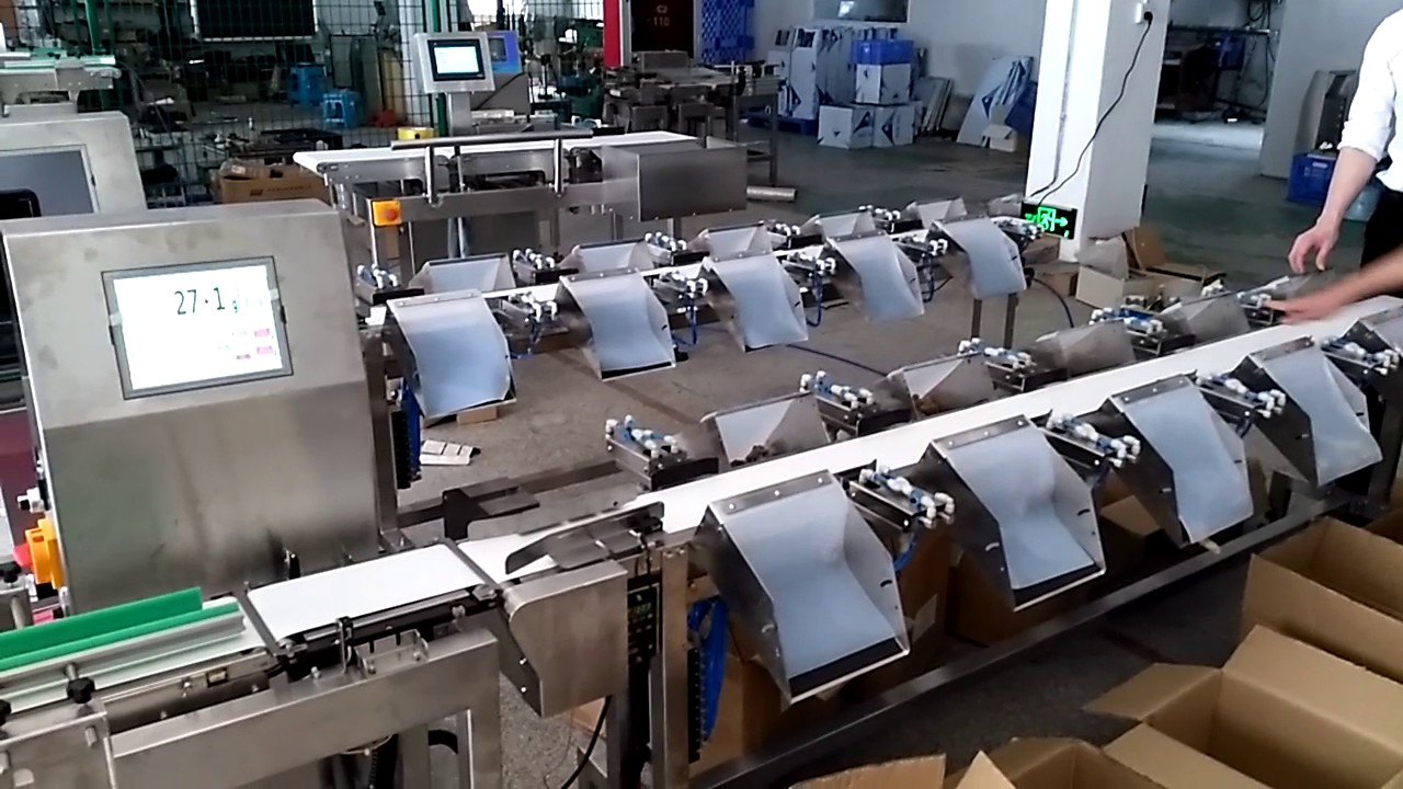 "TSZN" automatic weight sorting machine online check weigher auto weight sorter - YouTube