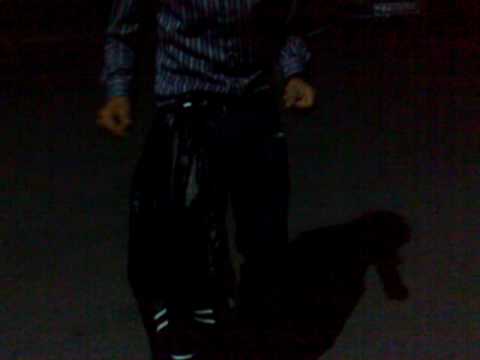 cuceko 1 ervin 2011 dzefrina 2011 romano rep 2011 hip hop romano bernat 2011