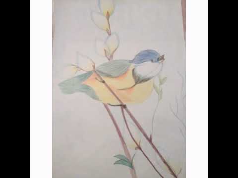 Boya & karandawla cekilmiw resimler ♡1♡