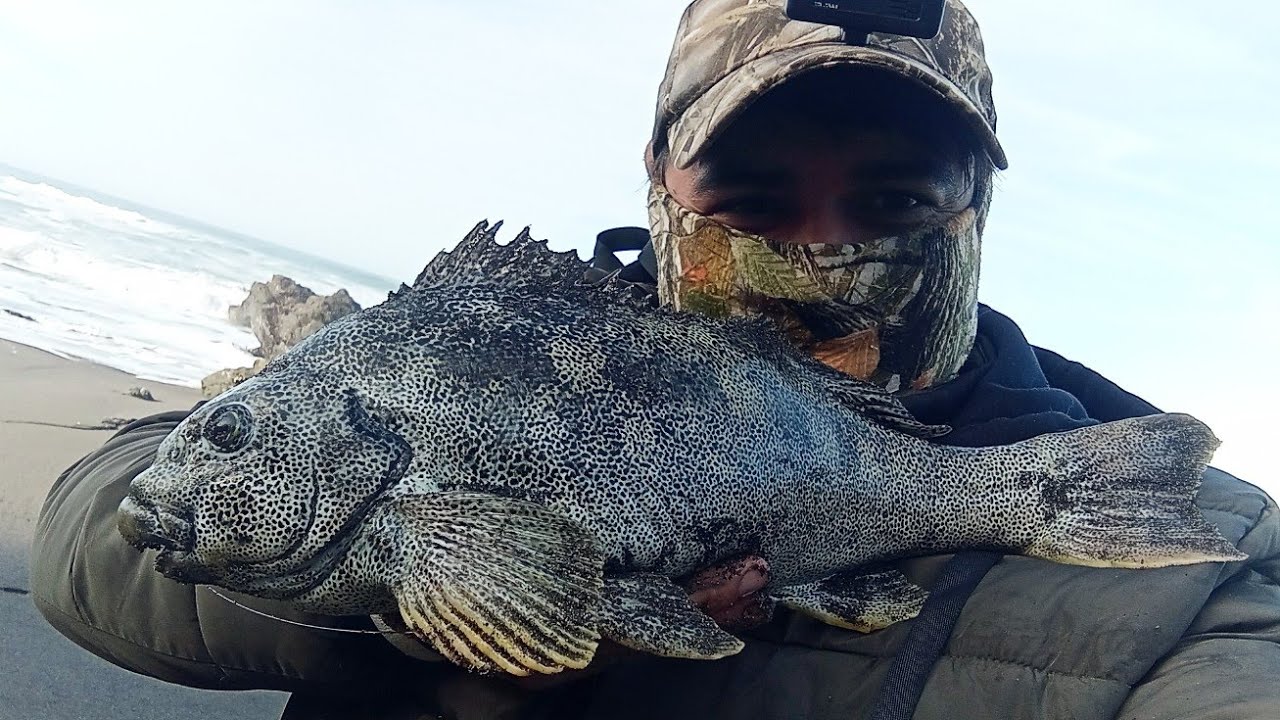 pesca de orilla en mar de chile, un pez rompe mi caña 😱😱 - YouTube