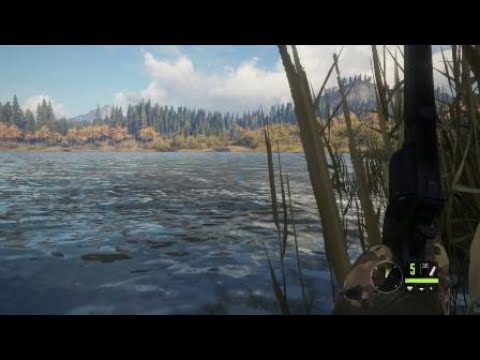 Hunted A Piebald Mallard Duck (Female) - Balmont Lake - YouTube