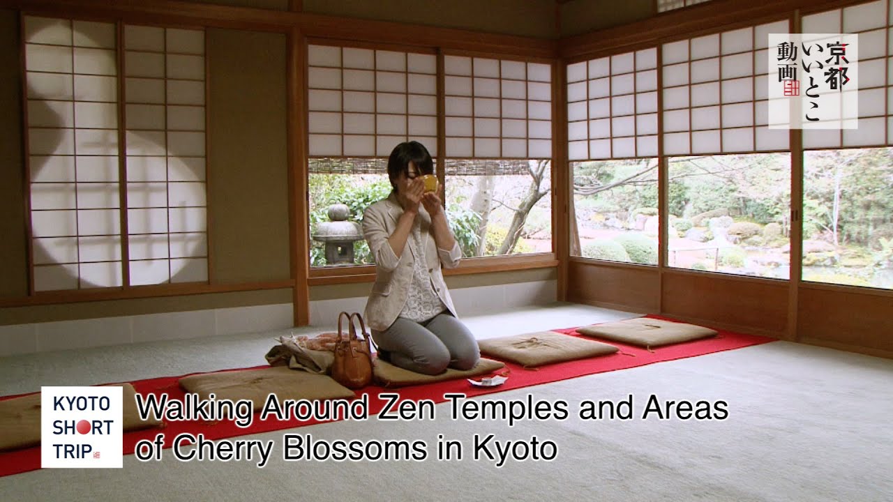 Walking Around Zen Temples and Areas of Cherry Blossoms in Kyoto - YouTube