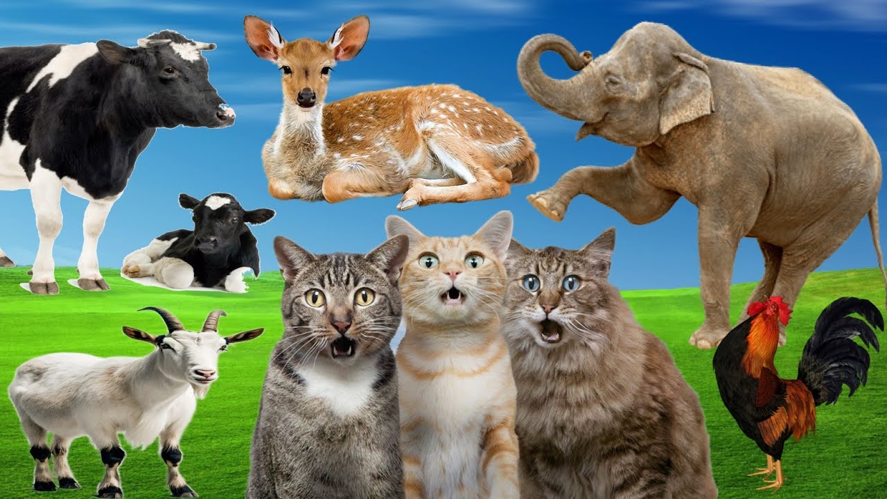 lovely animal sounds : cat, cow, elephant, giraffe, duck, camel ...