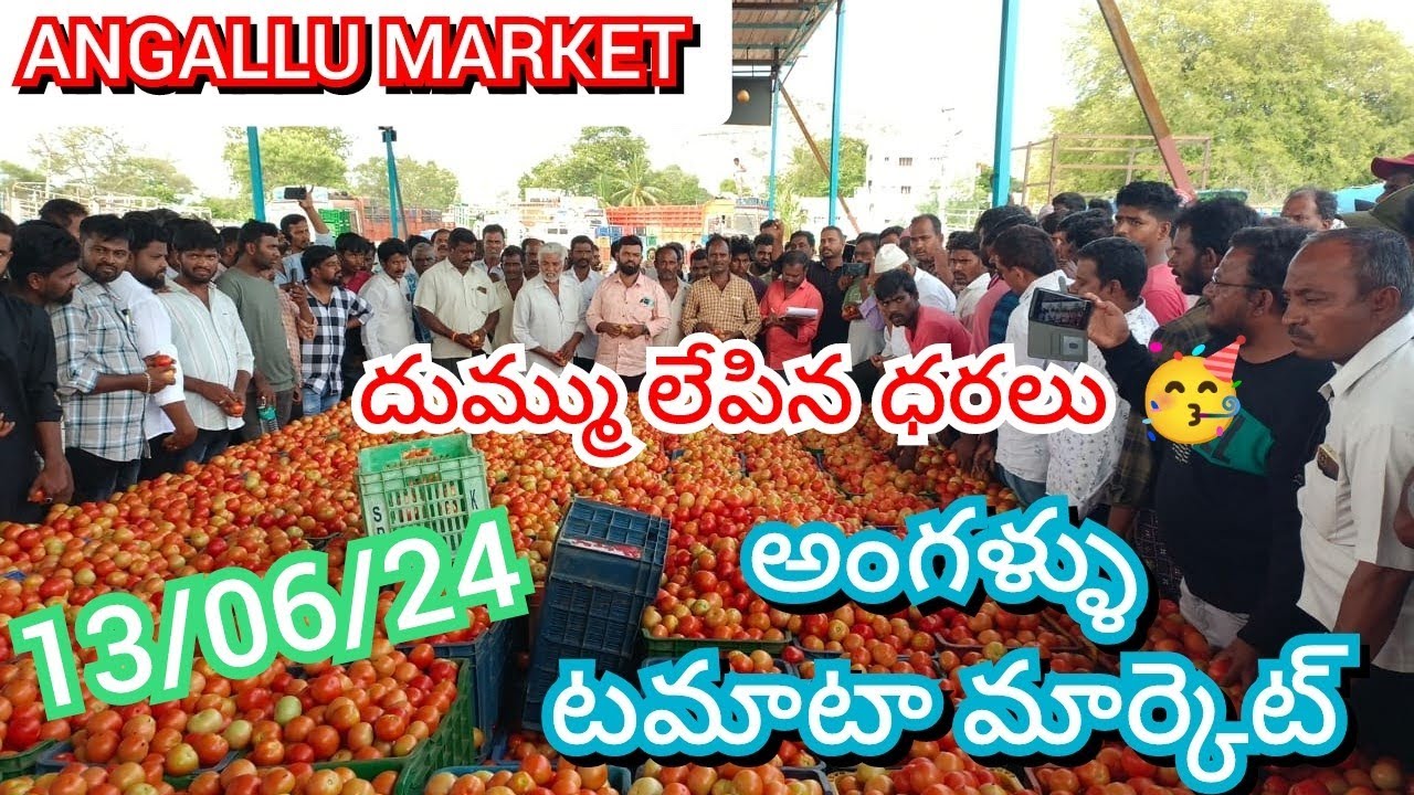 13/06/24 Angallu Tomato Market Price Today || Today Tomato Market Rate ...