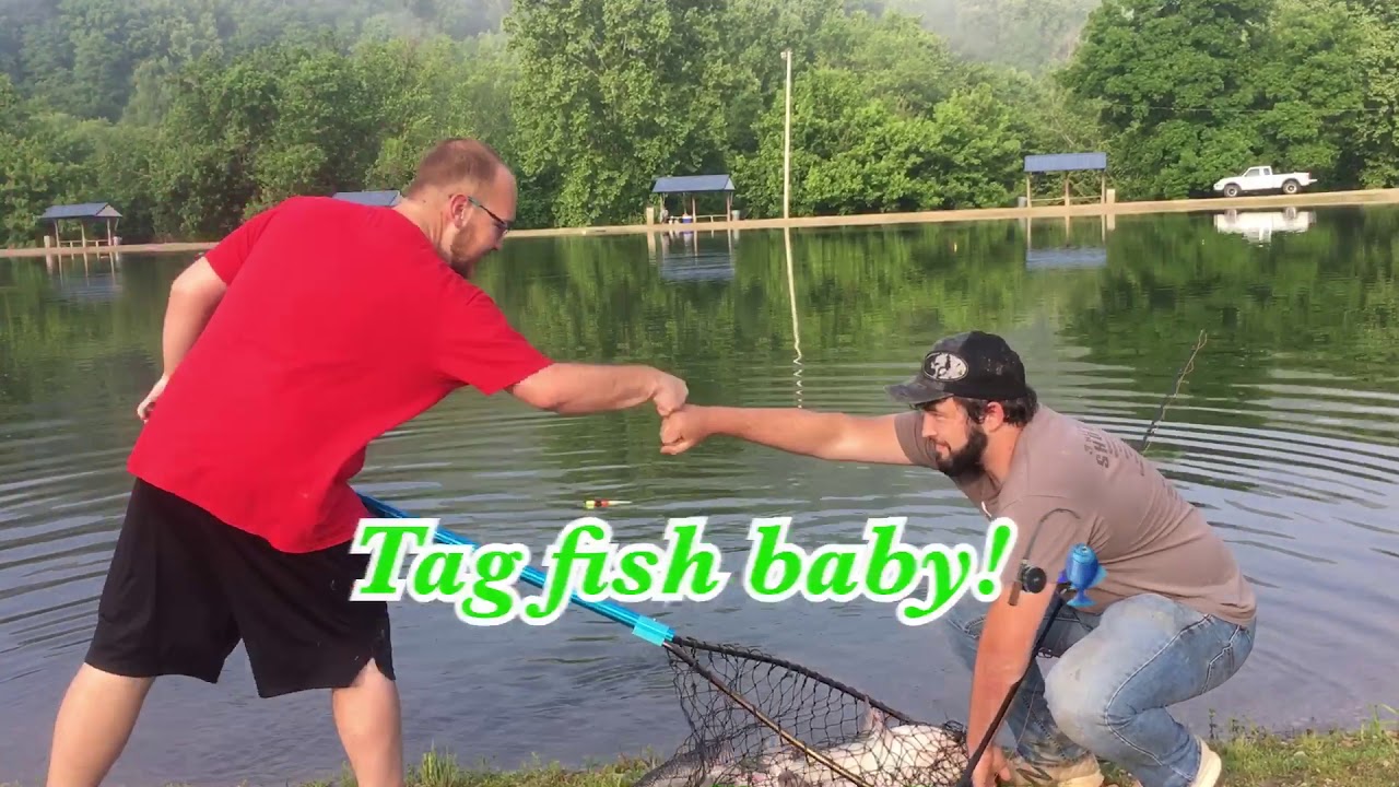 Most Fish caught on video: at Sky Lake. - YouTube