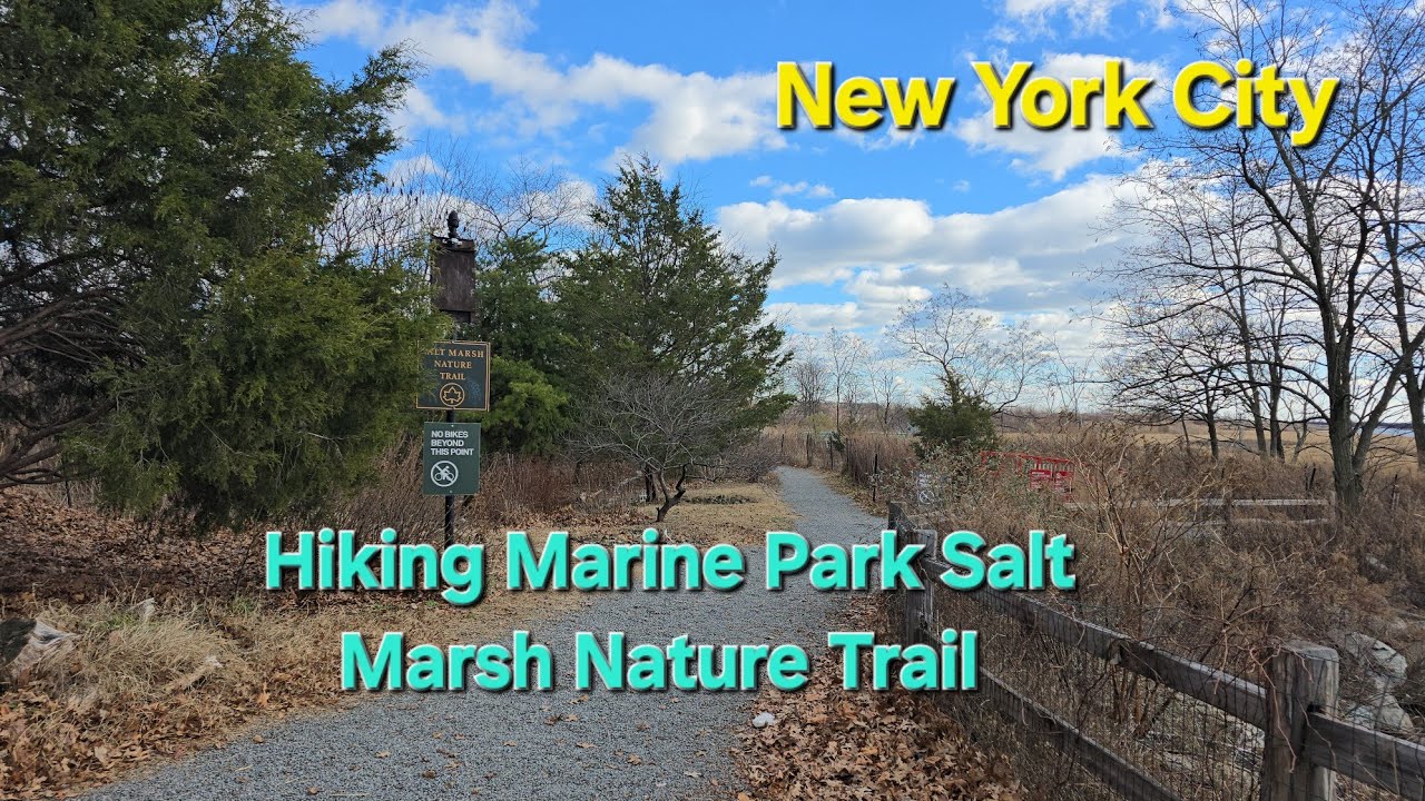 Hiking Marine Park Salt Marsh Nature Trail | Brooklyn NY 01.02.2025 ...