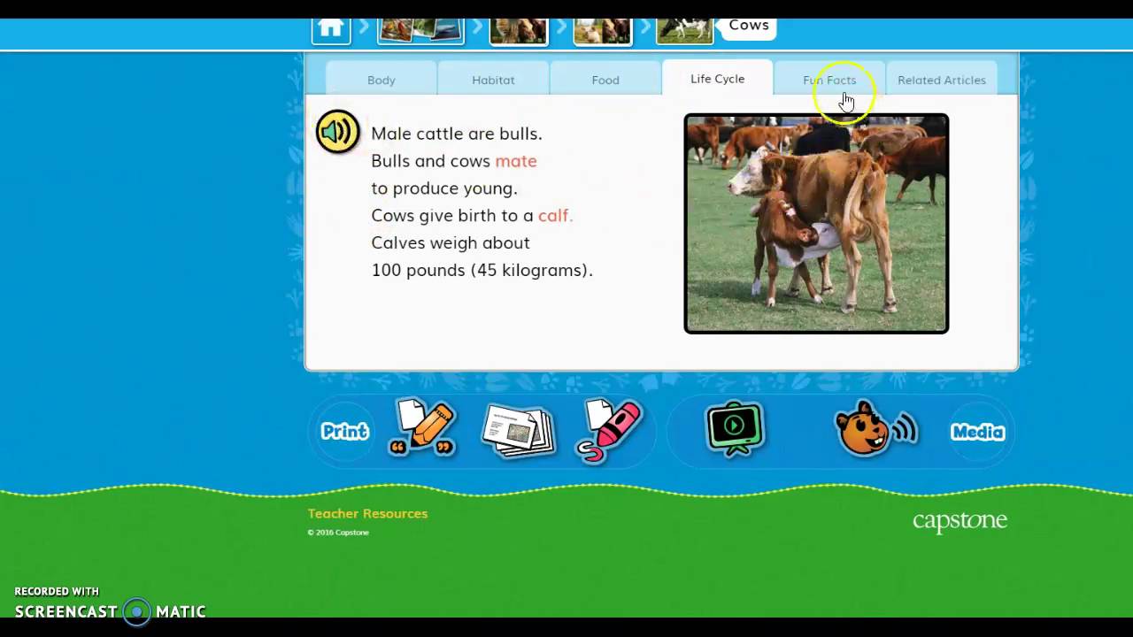 Using Pebble Go - YouTube