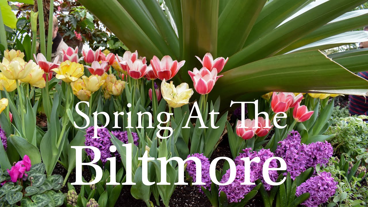 Spring at The Biltmore Estate - YouTube