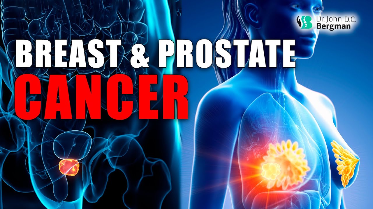 Breast And Prostate Cancer Youtube
