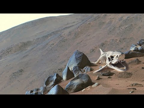 NASA Mars Perseverance Rover Captured New 4k Video of Mars - Sol 1102 | Mars 4k Video | Mars In ...
