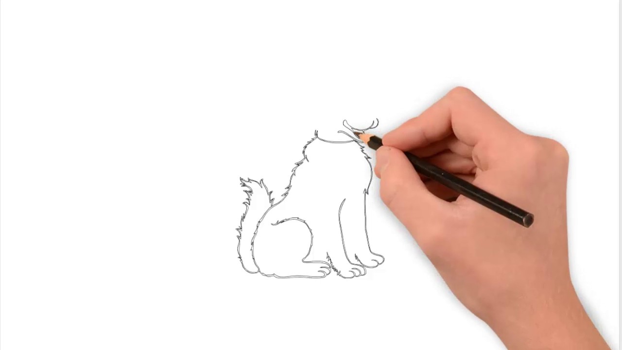 How To Draw A Dog Easily YouTube how-to-draw-a-dog-easily-youtube