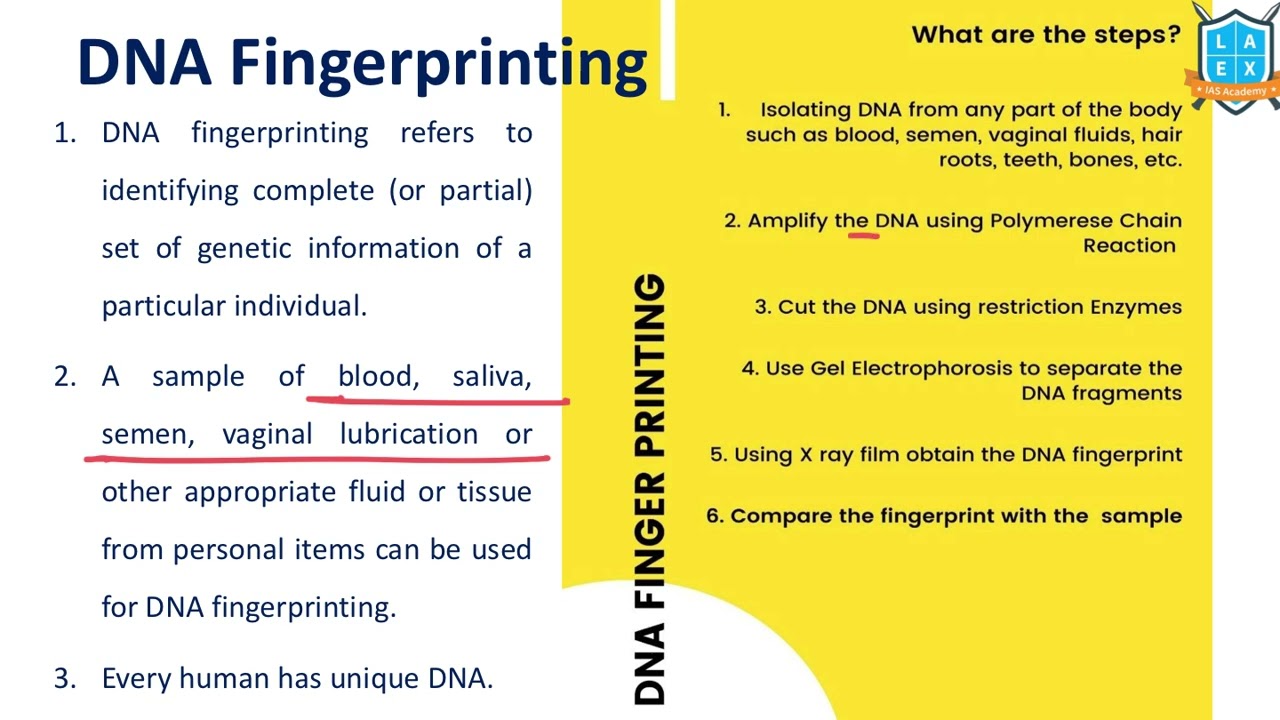 What is DNA Finger Printing ? || DNA Finger Printing అంటే ఏమిటి? || La ...