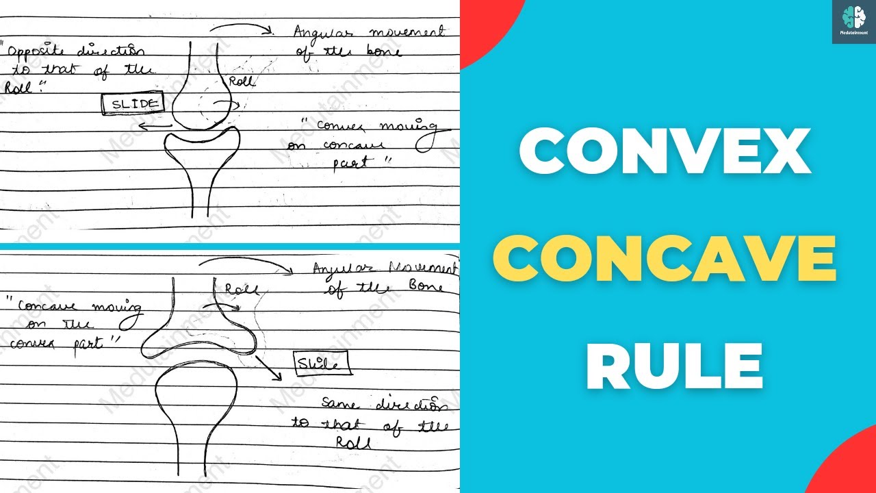 Convex - Concave Rule | Biomechanics | Physiotherapy - YouTube