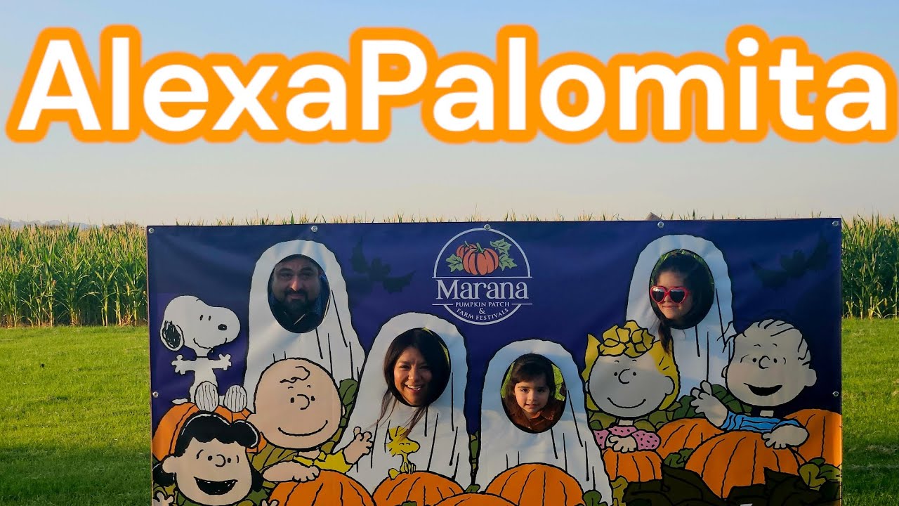 Pumpkin Patch - Alexa Palomita [Marana Pumpkin Patch] Calabazas - YouTube