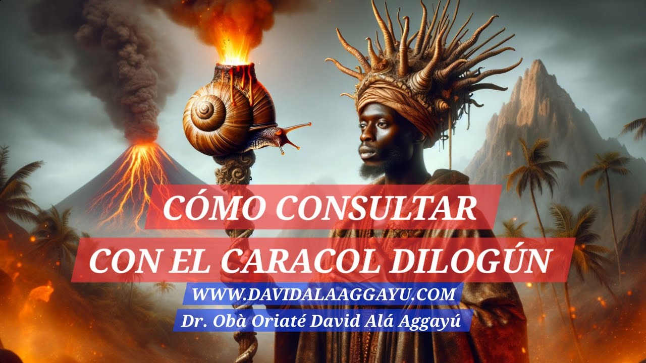 Como Consultar con el Caracol Dilogun #diloggun #davidalaaggayu - YouTube