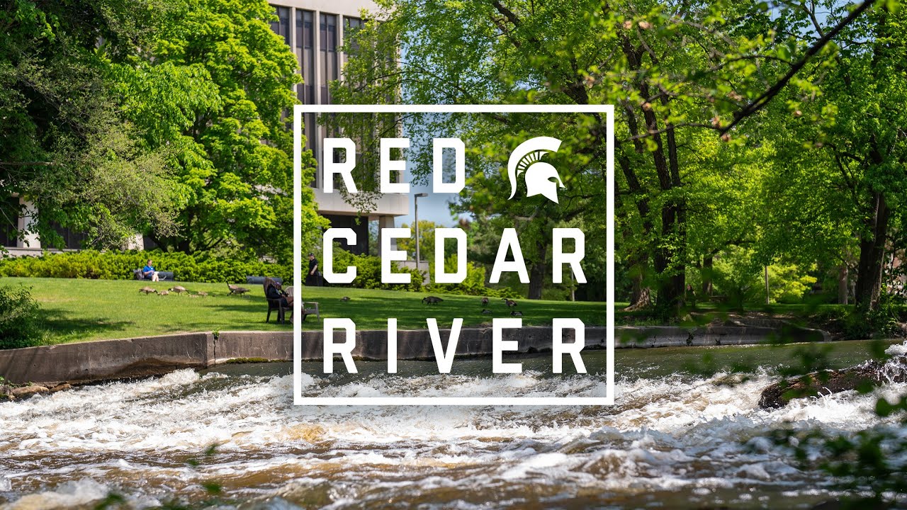 Red Cedar River Ambience 1 Hour Loop - YouTube
