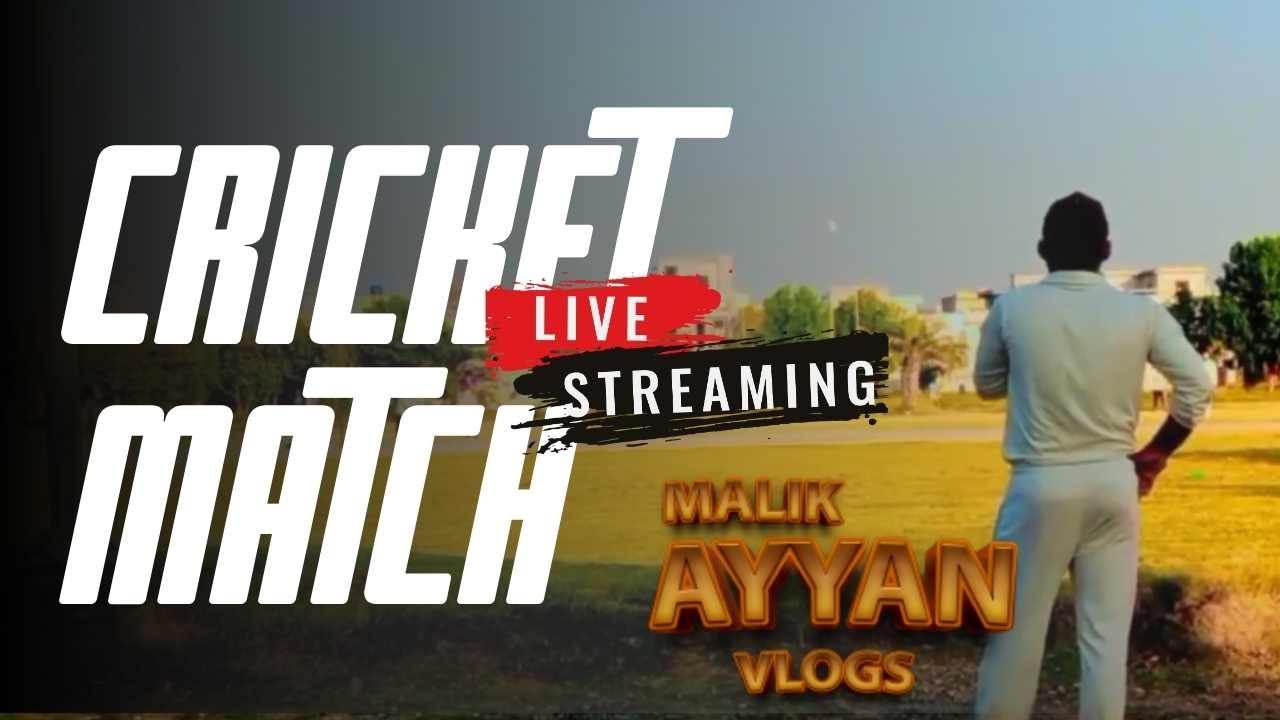 Live Cricket Match in the Park: A Bit of Fun 😂 | Subscribe Now! Malik ...