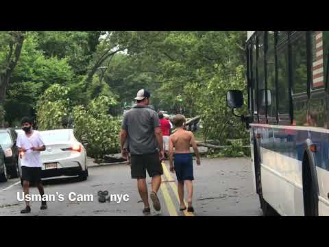 Tropical Storm Isaiah, Toppled Trees in New York City, Aftermath - YouTube