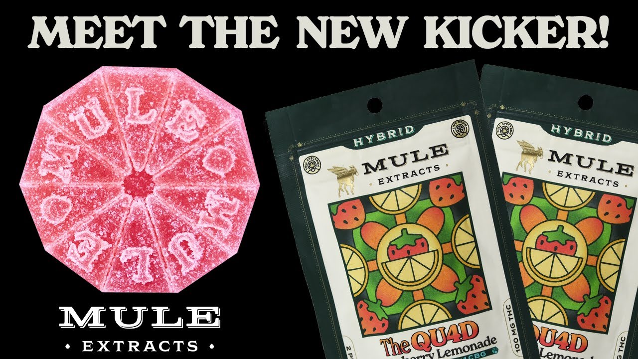 Meet the Mule Kicker - YouTube