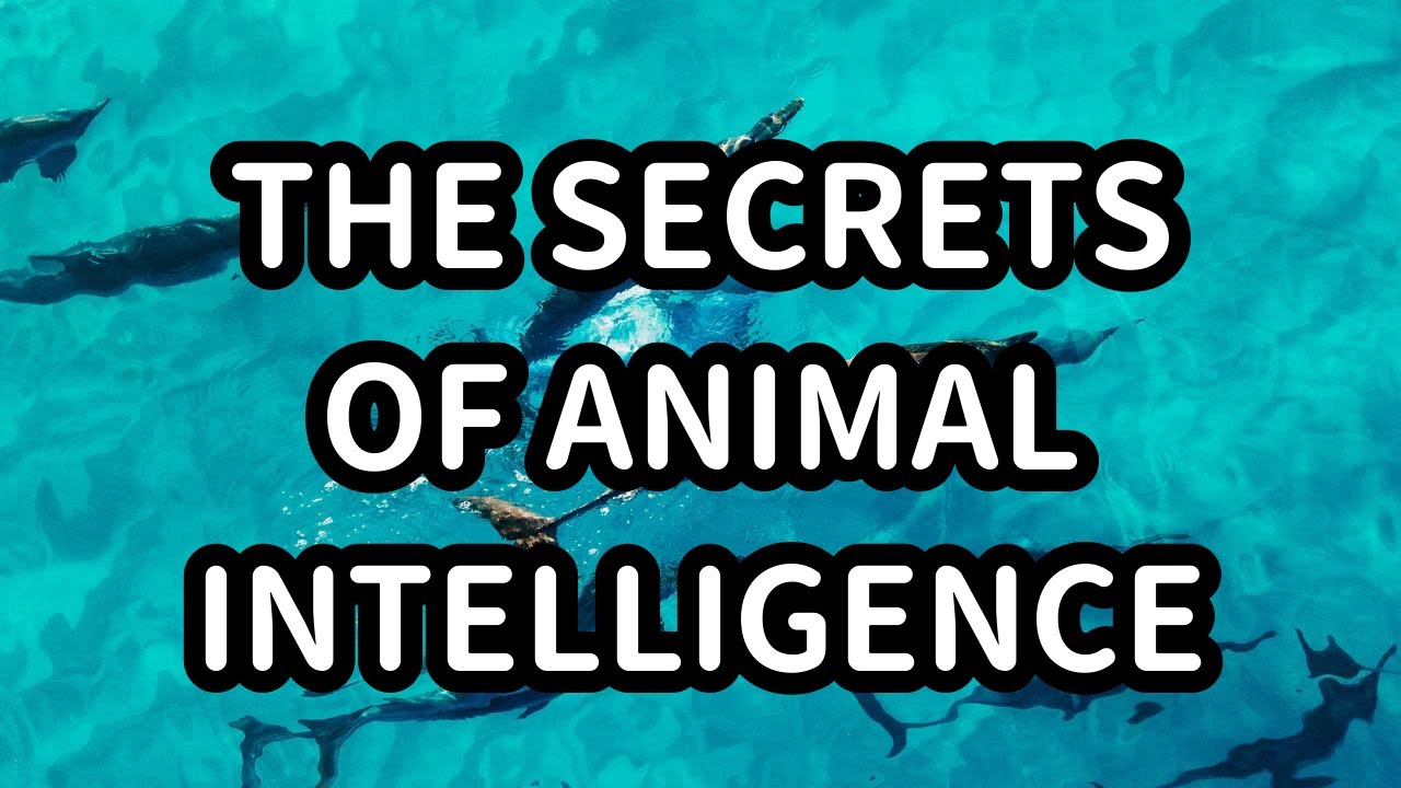 The Secrets of Animal Intelligence #popularscience - YouTube