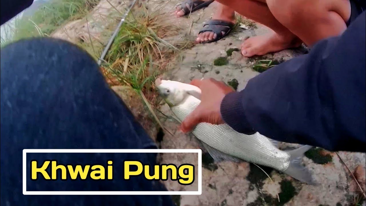 Khwai dohkha ha Pung || Pond fishing. - YouTube