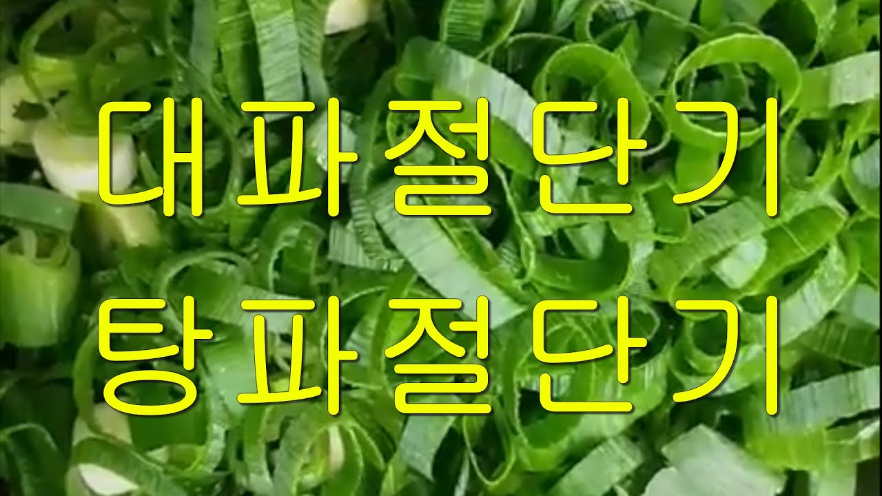 탕파절단기 파절단기 대파절단기 국밥집 파써는기계 업소용 파써는기계 식당용 탕파절단기 Youtube