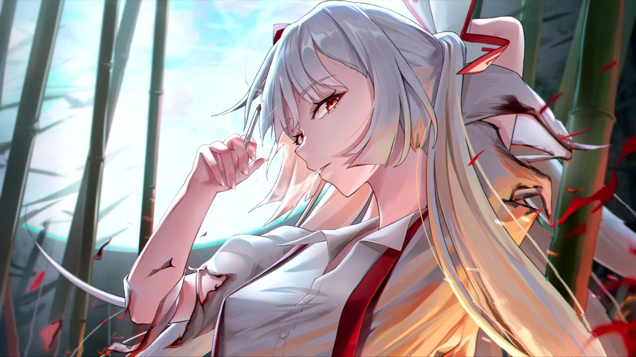 【東方Hardcore】HARDCORE MOKOTAN GETS NASTY「HYPERMESS Recordings」 - YouTube