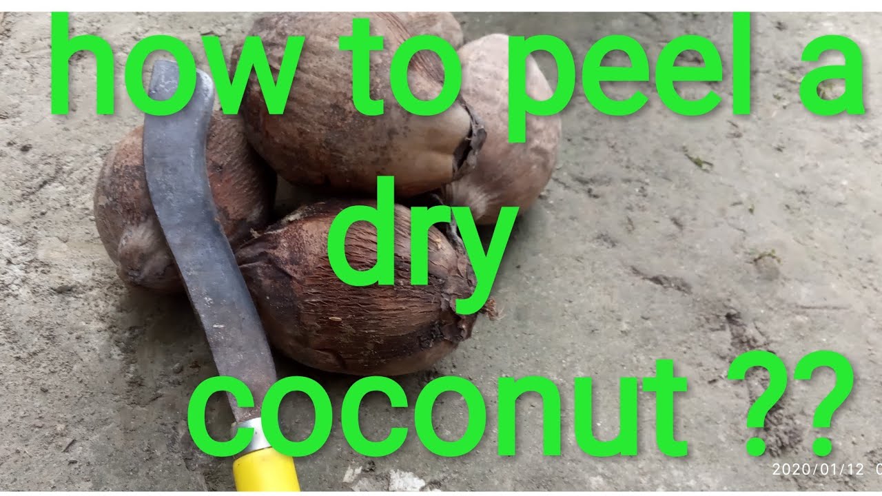 how to peel a dry coconut? - YouTube