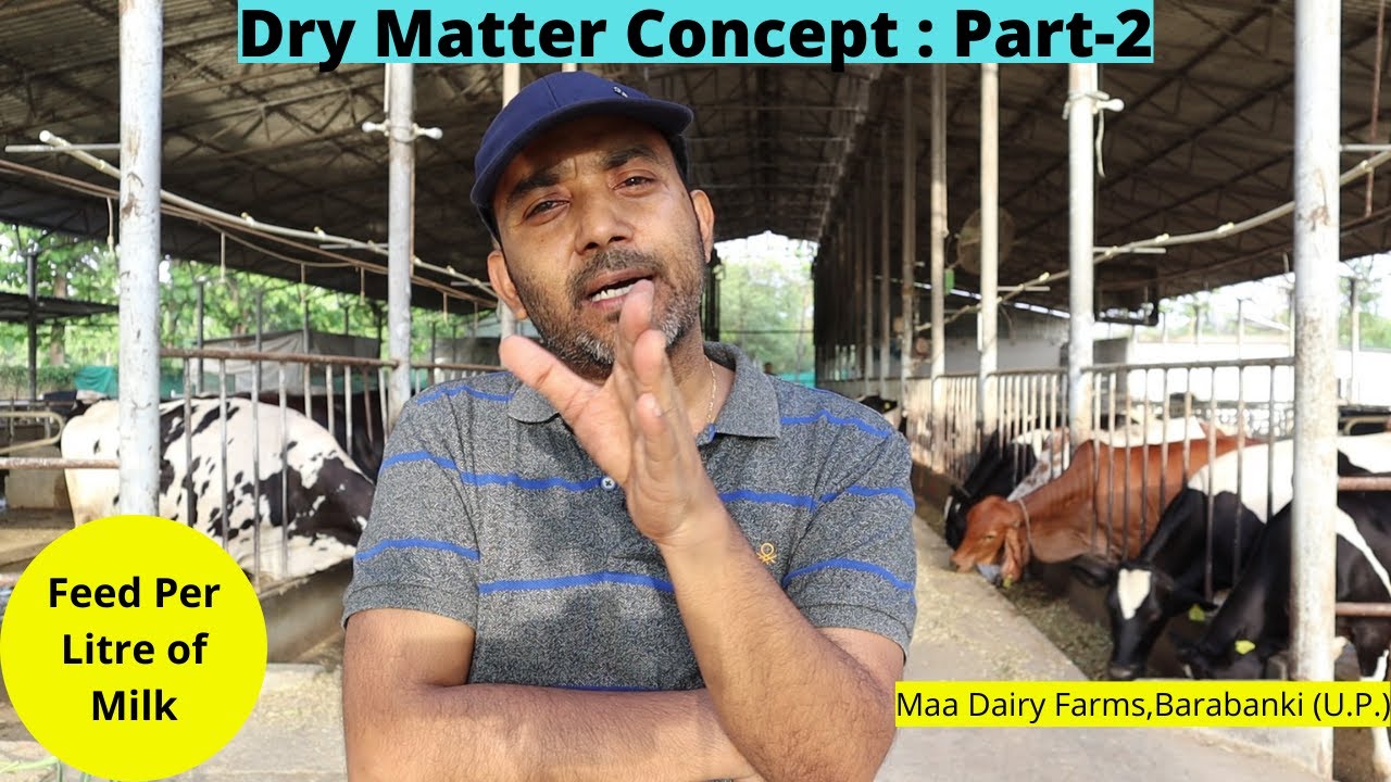 Understanding the Concept of Dry Matter Feeding in Cows, Part-2 || Maa ...
