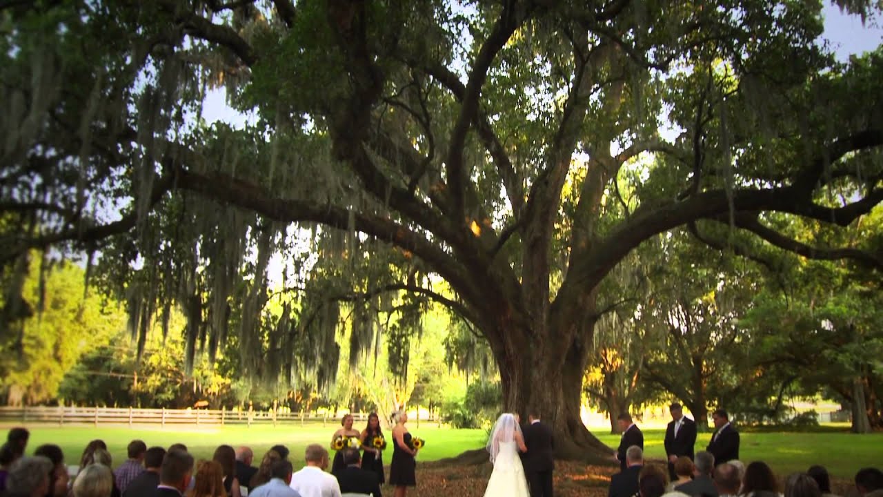 New Orleans Plantation Country Overview - YouTube