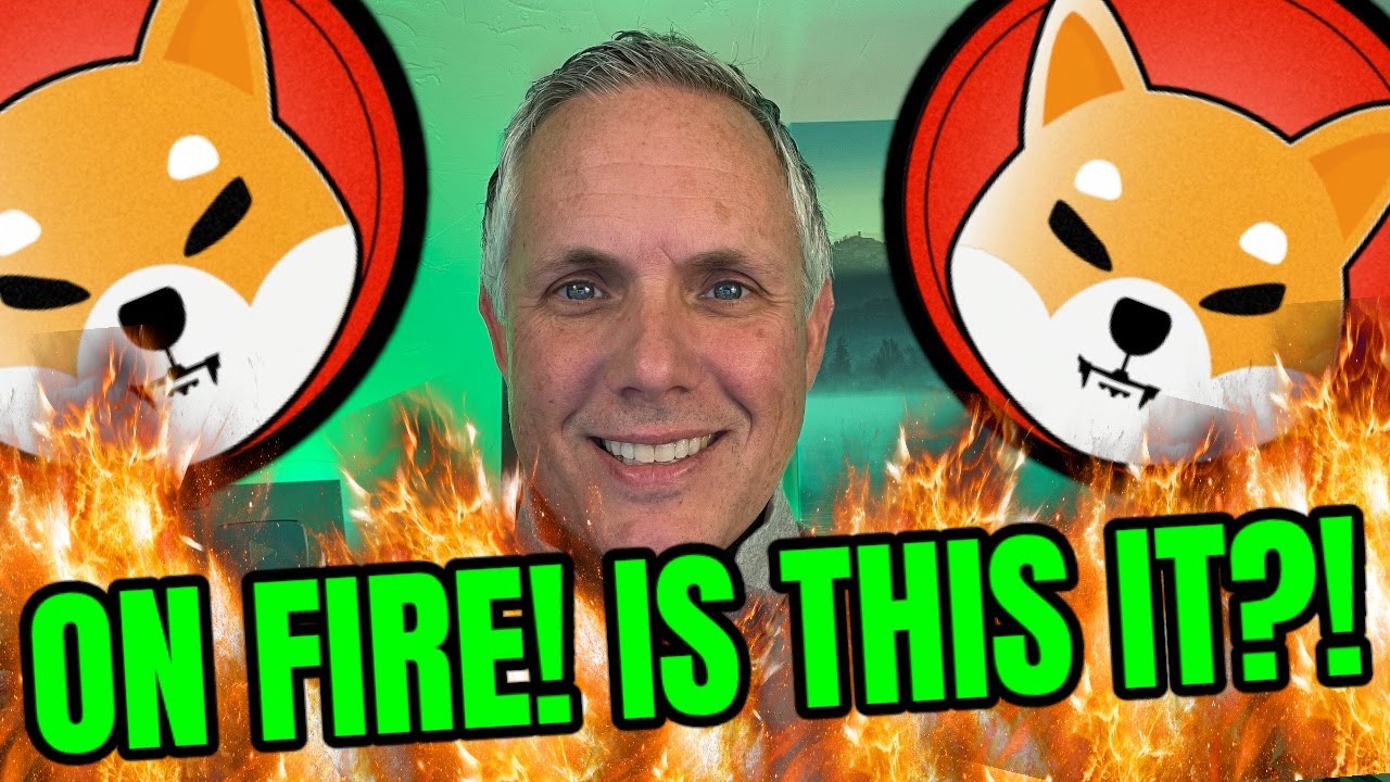 SHIBA INU IS ON FIRE! IS THE BEGINNING OF THE SHIBA INU COIN RUN ...